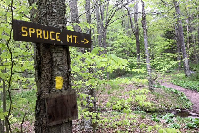 Hike through a waterfall at Spruce Mountain – Get Your Tail on the Trail