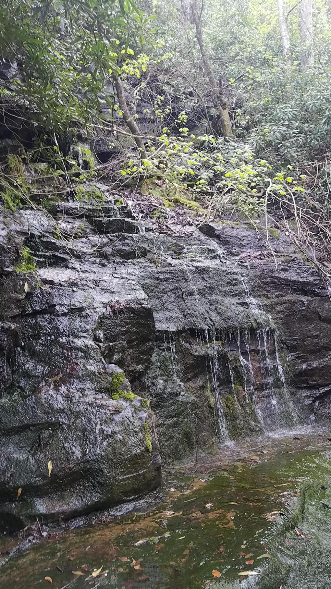 Devils Hole Creek Walk with Don Miller – Get Your Tail on the Trail